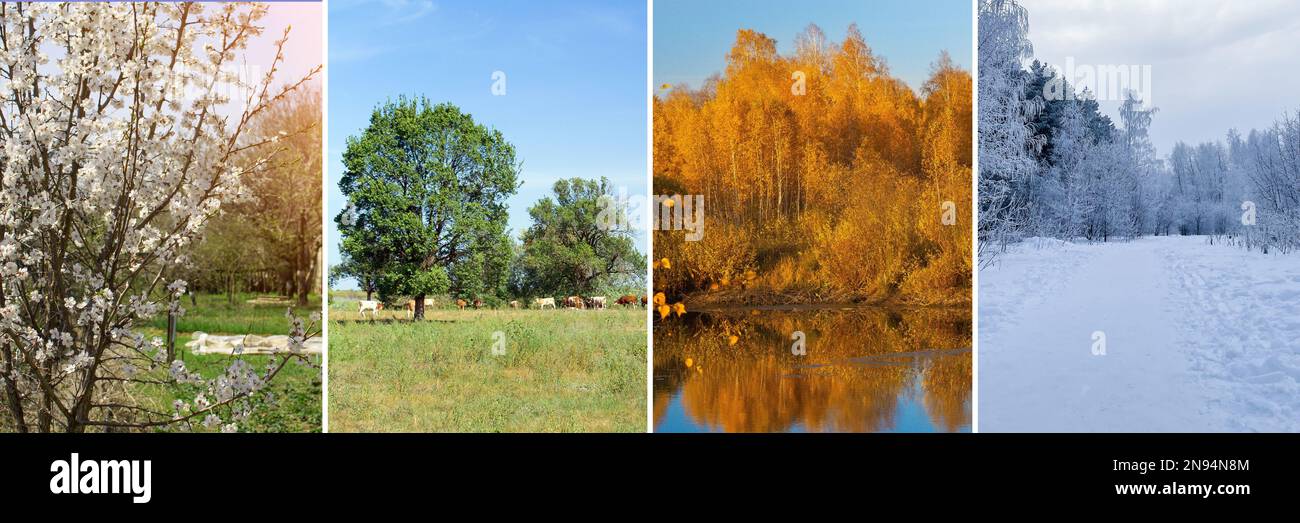 Four seasons of year. Set of nature banners. Spring, summer, autumn ...
