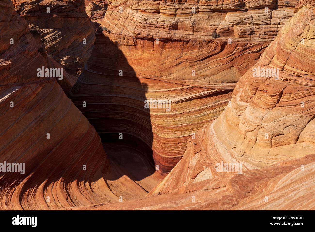 The Coyote Buttes (The Wave) and the Vermilion Cliffs National Monument ...