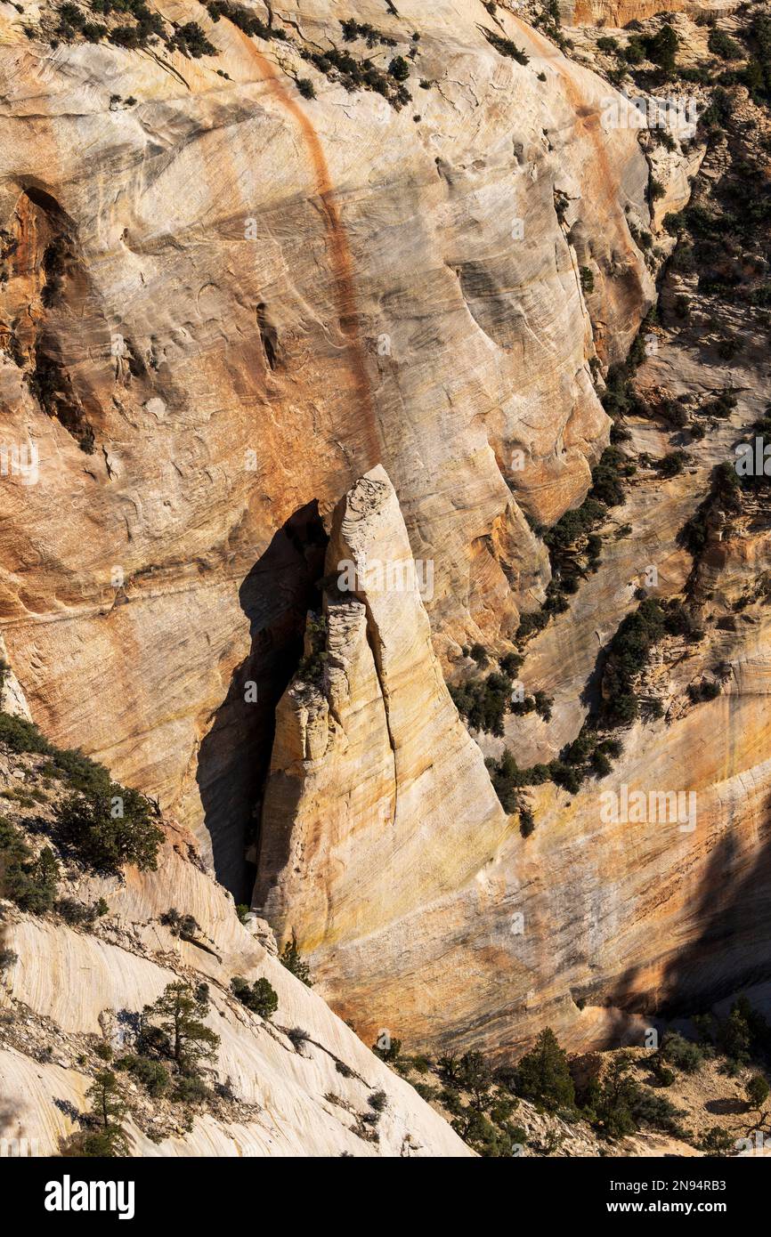 A beautiful view of red rock formations in Observation Point, Zion ...