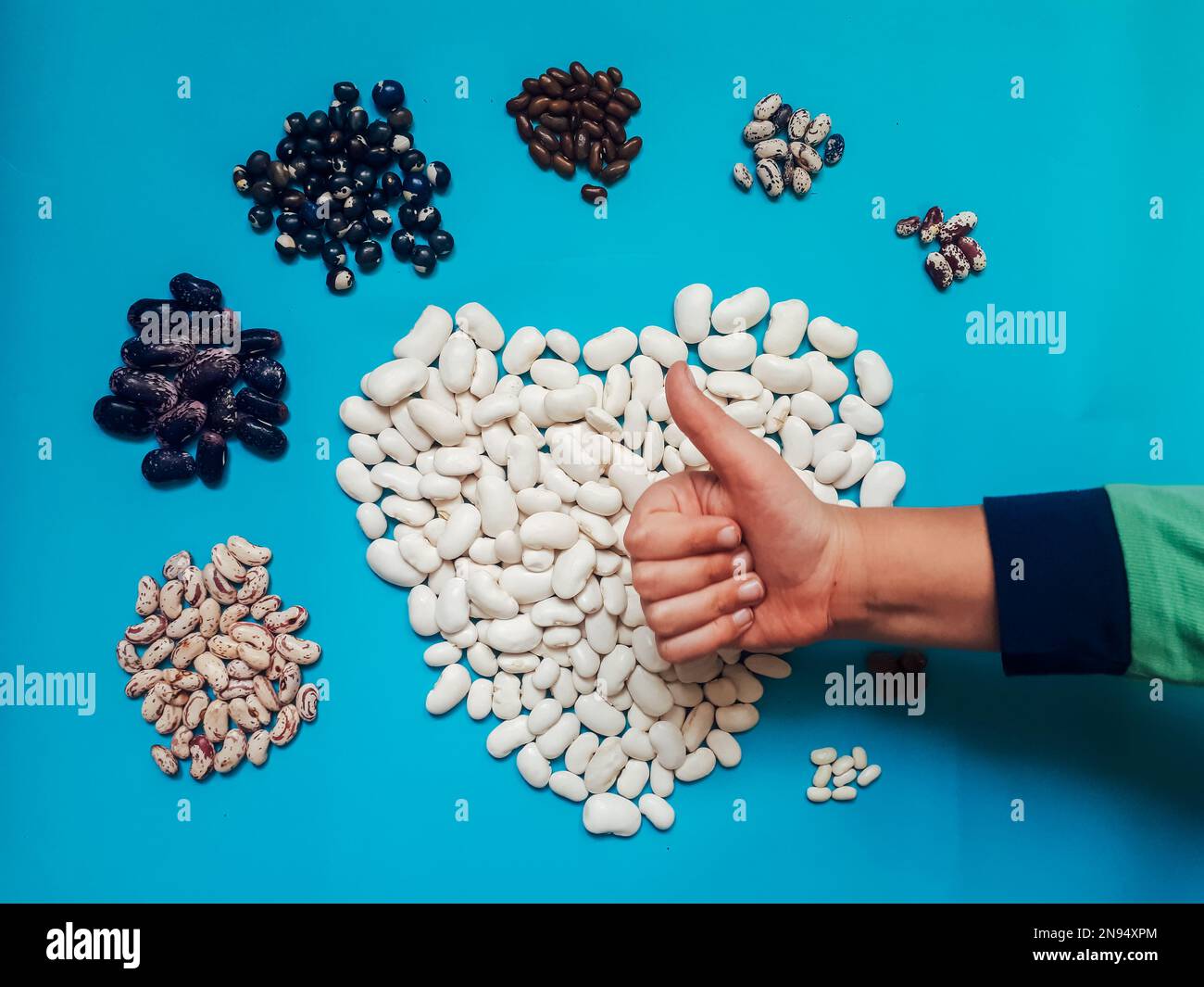 multi-colored beans laid out on a blue background in the shape of a ...