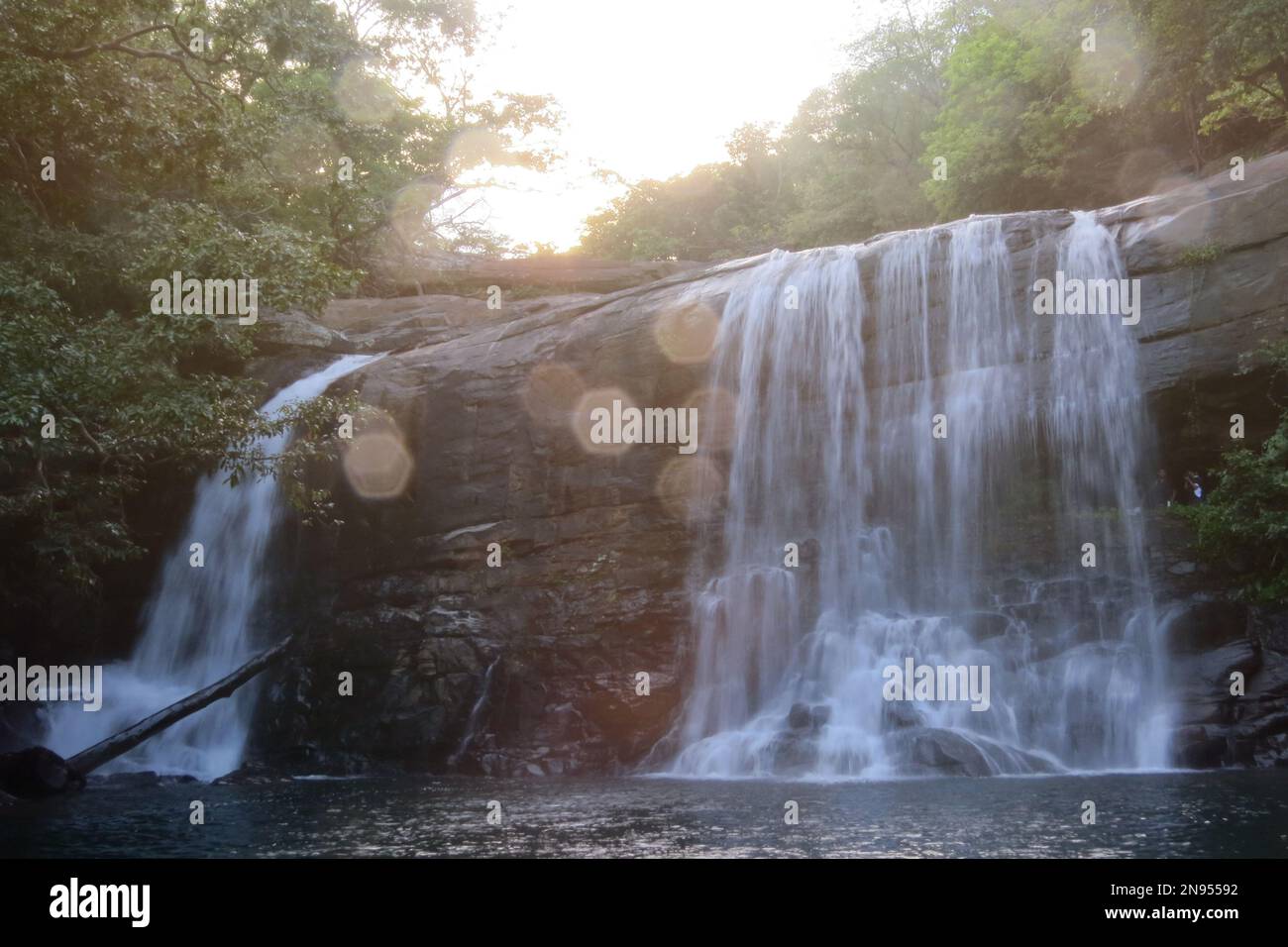 Sera ella hi-res stock photography and images - Alamy