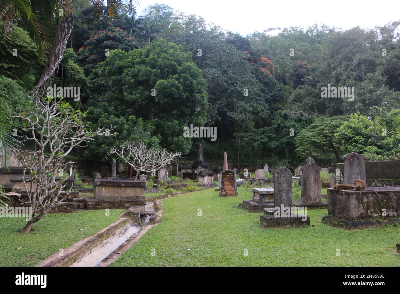 British Garrison Cemetery / Kandy Garrison Cemetery Stock Photo - Alamy