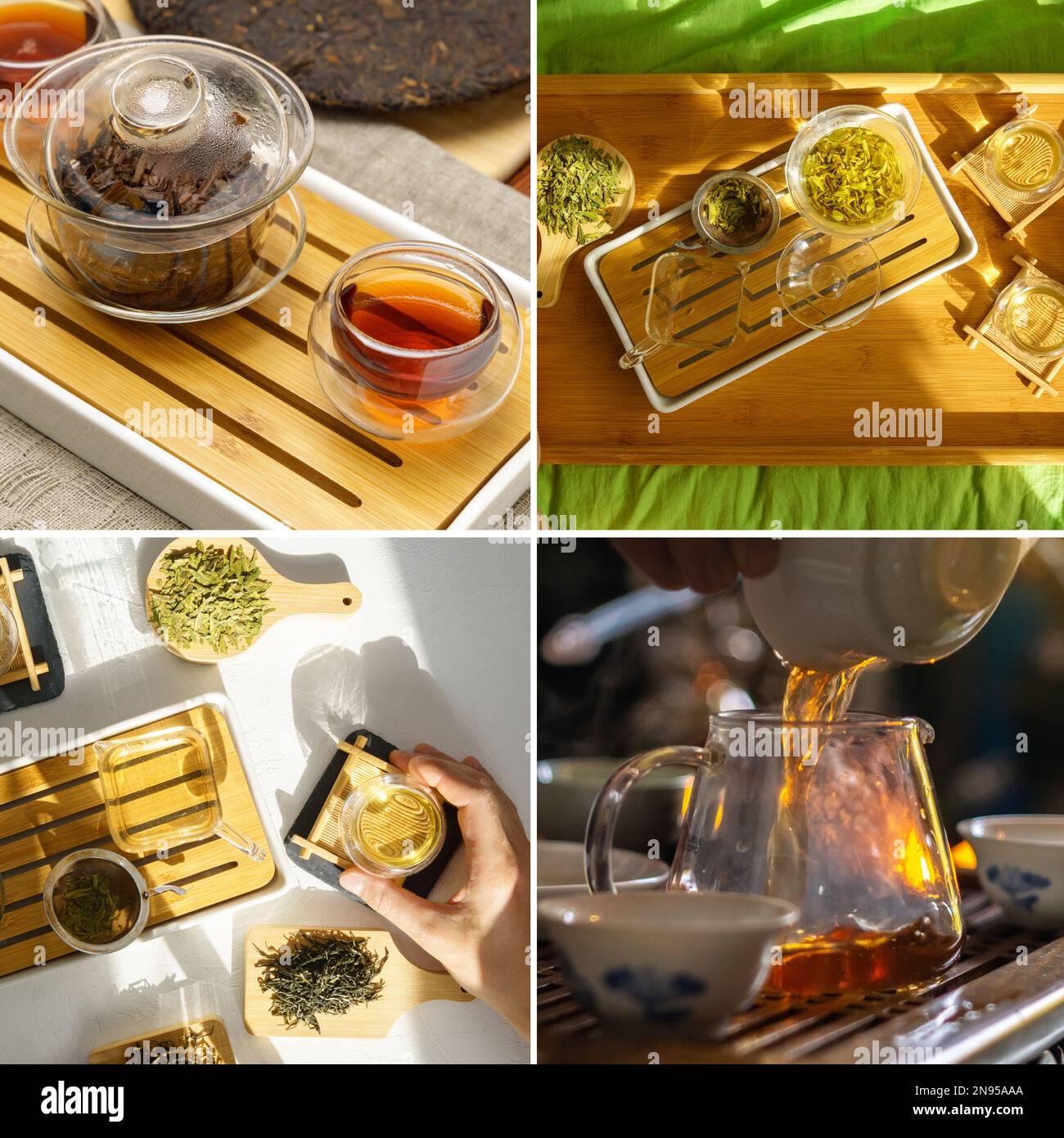 Assortment of dry tea collage. Tea composition with different kind of ...