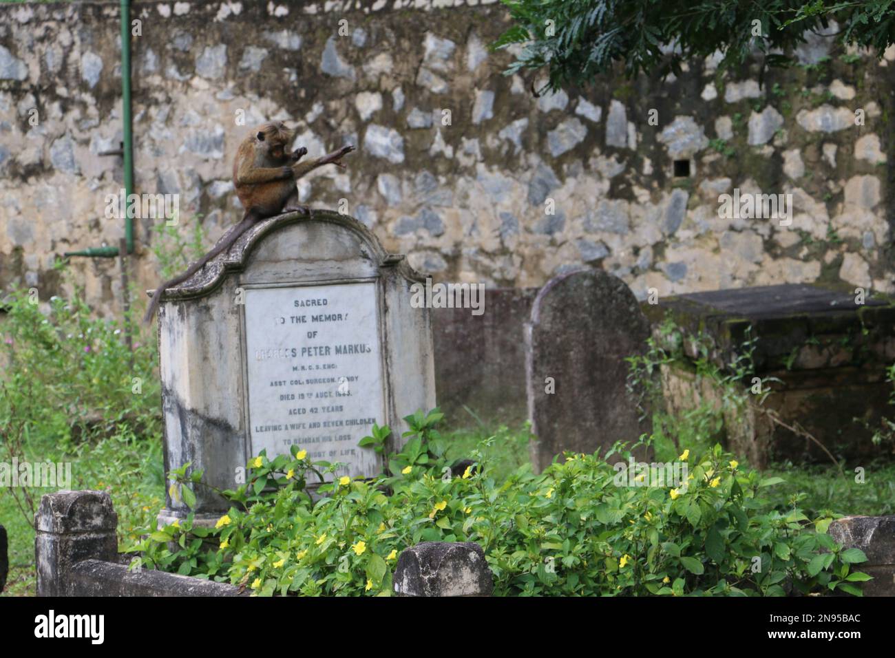 British Garrison Cemetery / Kandy Garrison Cemetery Stock Photo - Alamy