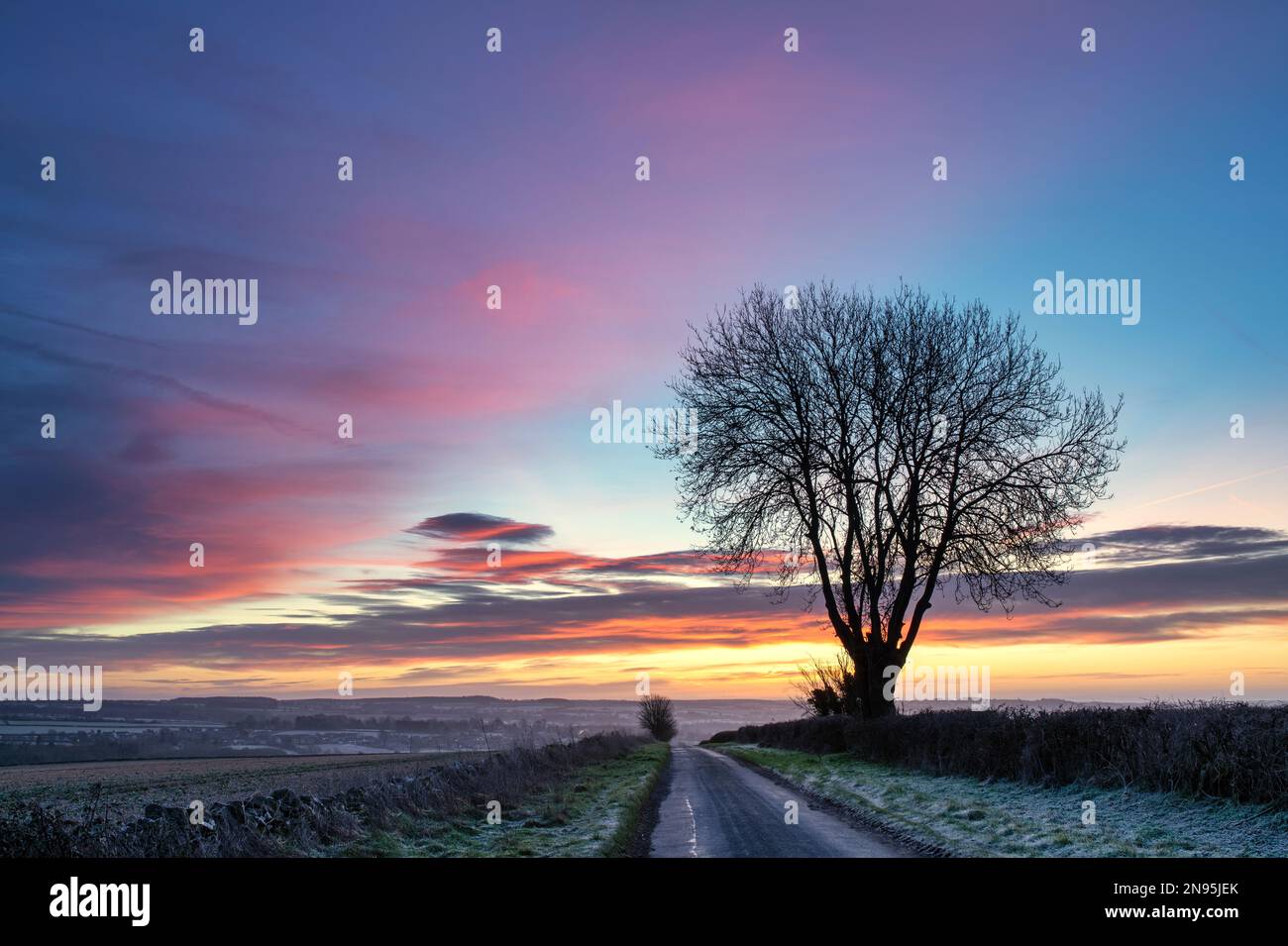 Cotswolds tree hi-res stock photography and images - Alamy