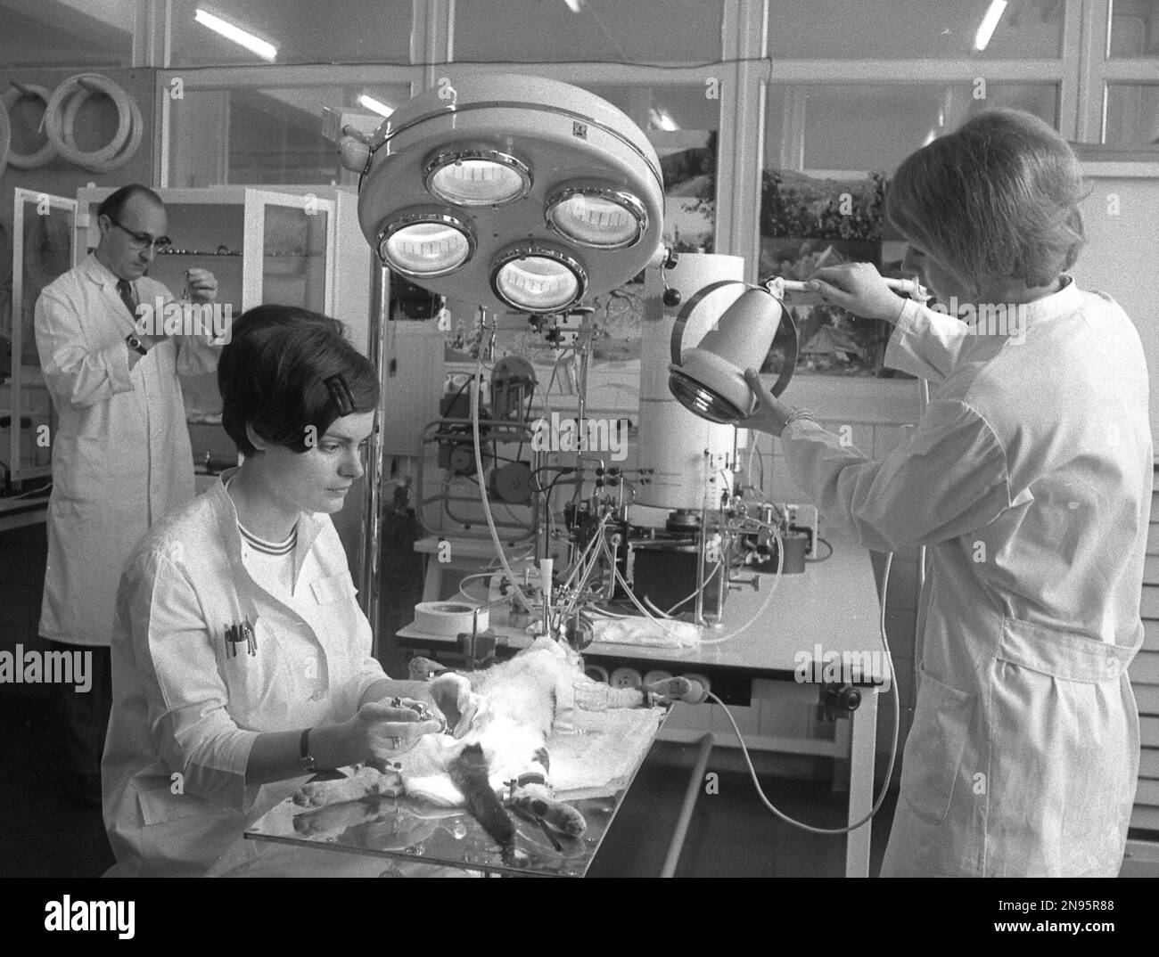 1960s babies Black and White Stock Photos & Images - Alamy