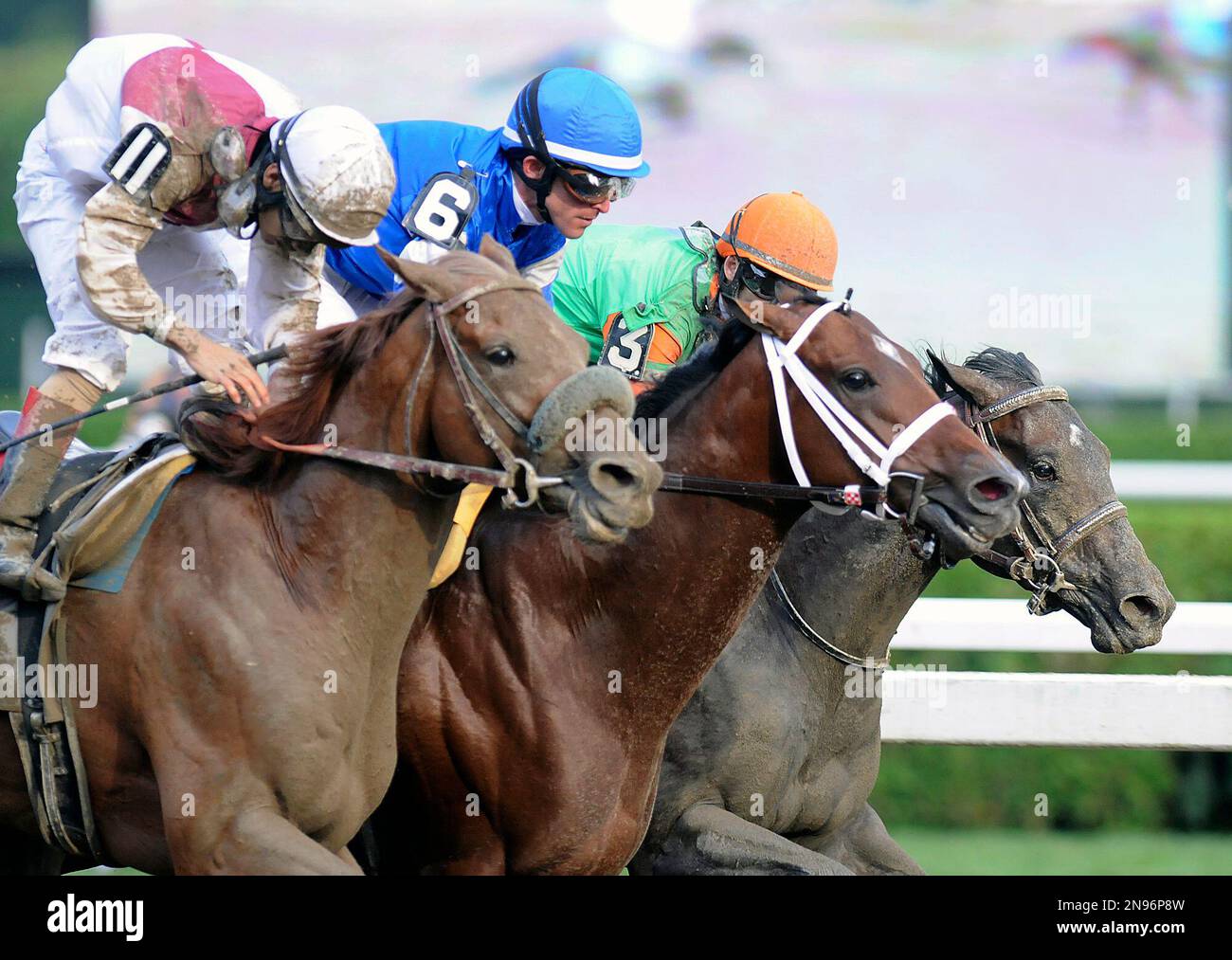 Alpha, center, with Ramon Dominguez aboard, and Golden Ticket, right ...