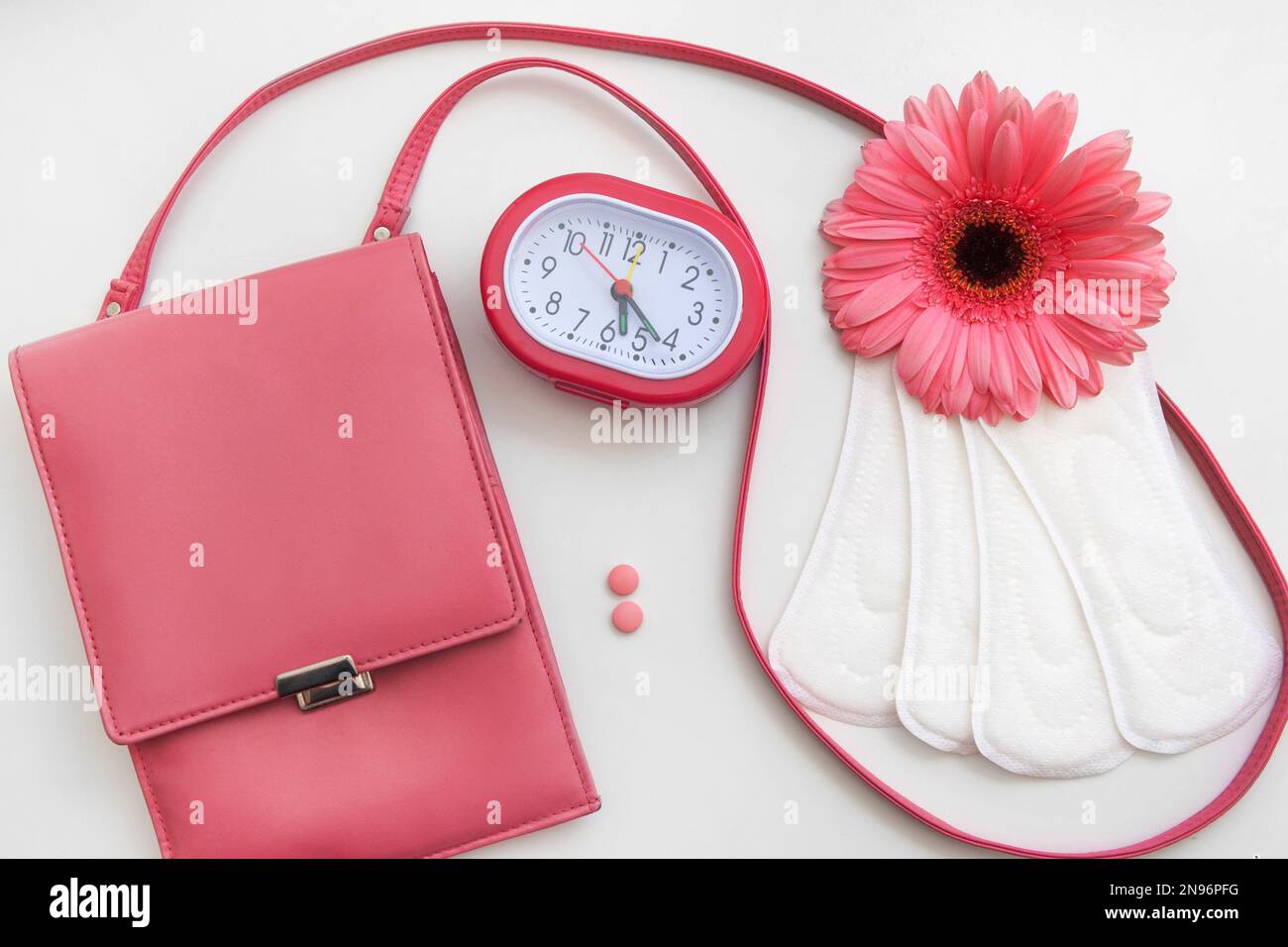 Period Time Woman Menstruation Control Health Cycle Pills Pads Hygiene ...