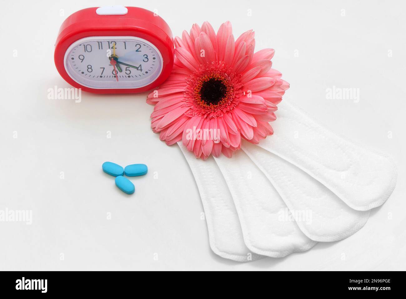 Menstruation Cycle Women Health Contraception Birth Control Pills Care ...