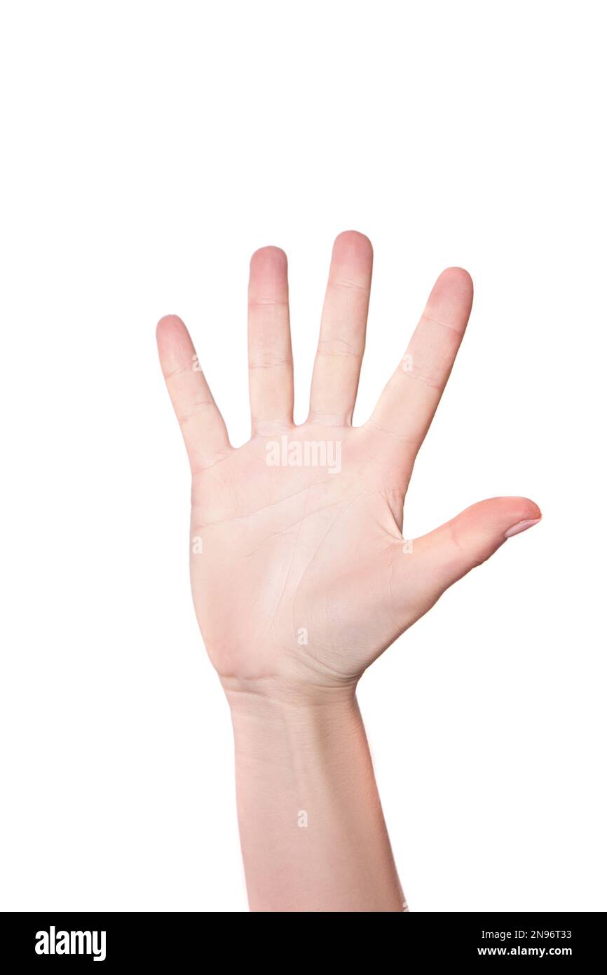 hand showing five isolated white background Stock Photo - Alamy