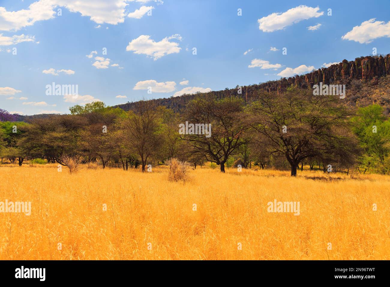 Waterberg Plateau National Park, Kalahari, Otjiwarongo, Namibia, Africa ...