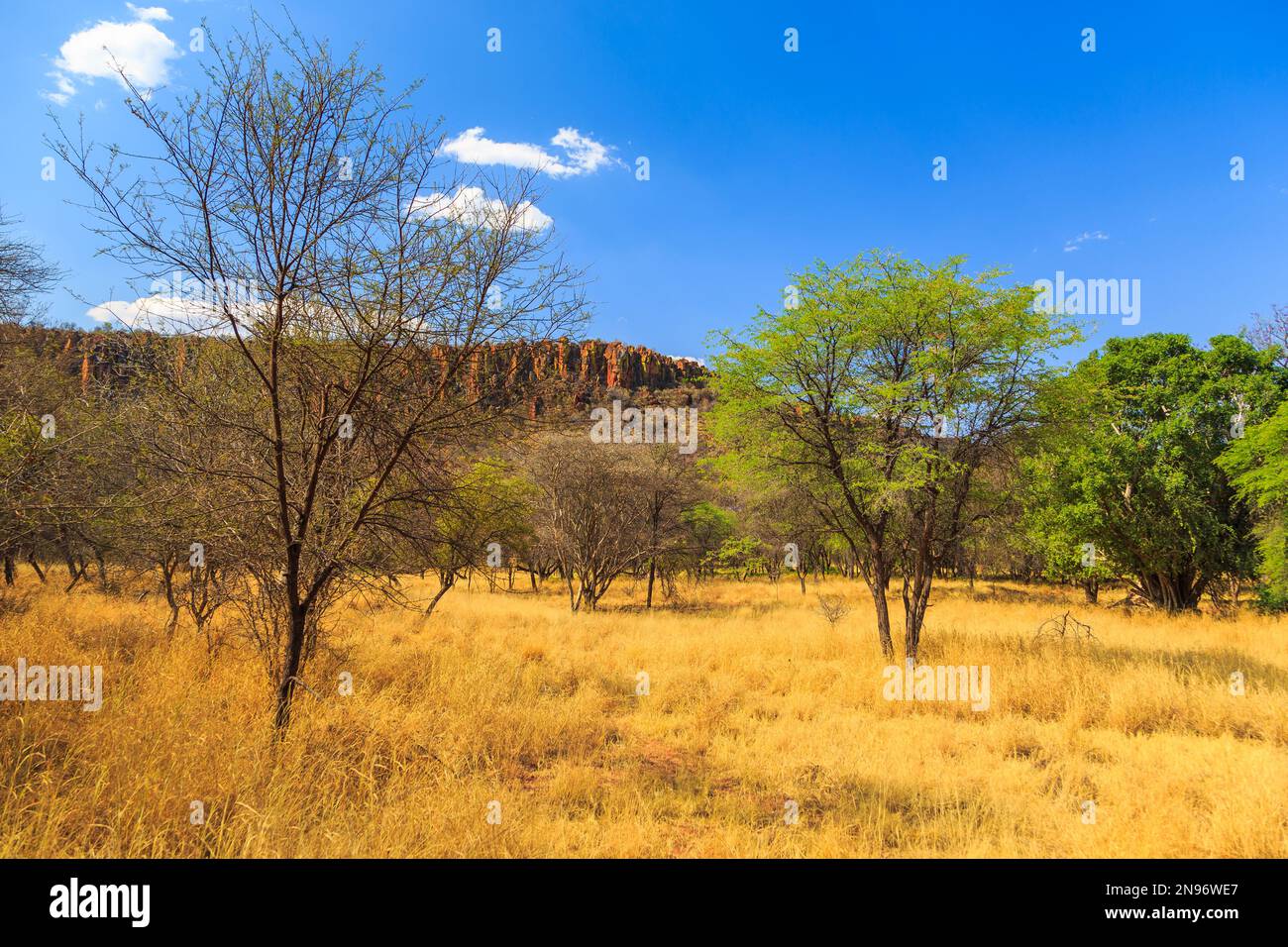 Waterberg Plateau National Park, Kalahari, Otjiwarongo, Namibia, Africa ...
