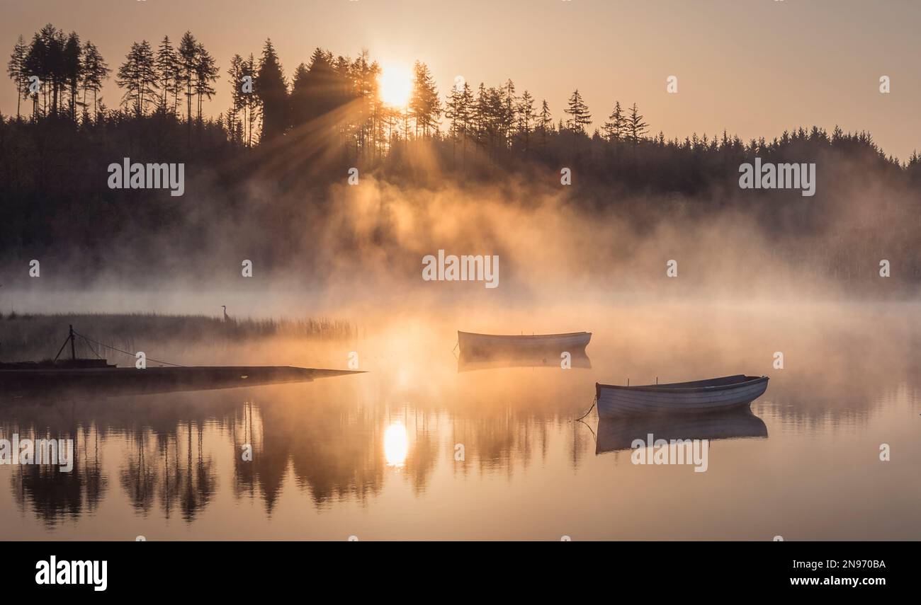 @rusky hi-res stock photography and images - Alamy