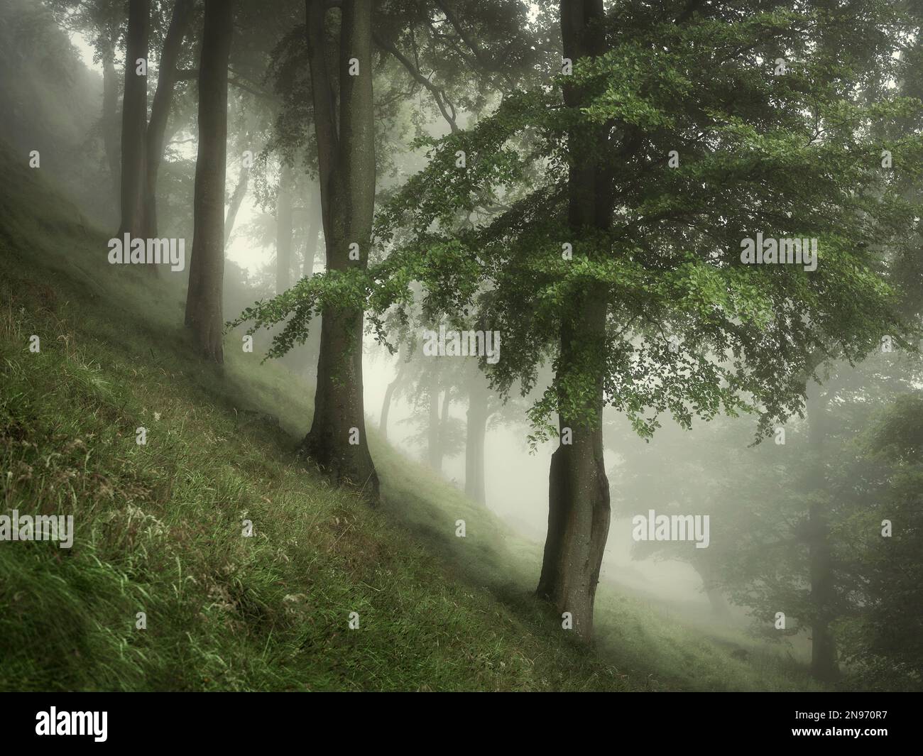 March landscapes hi-res stock photography and images - Alamy