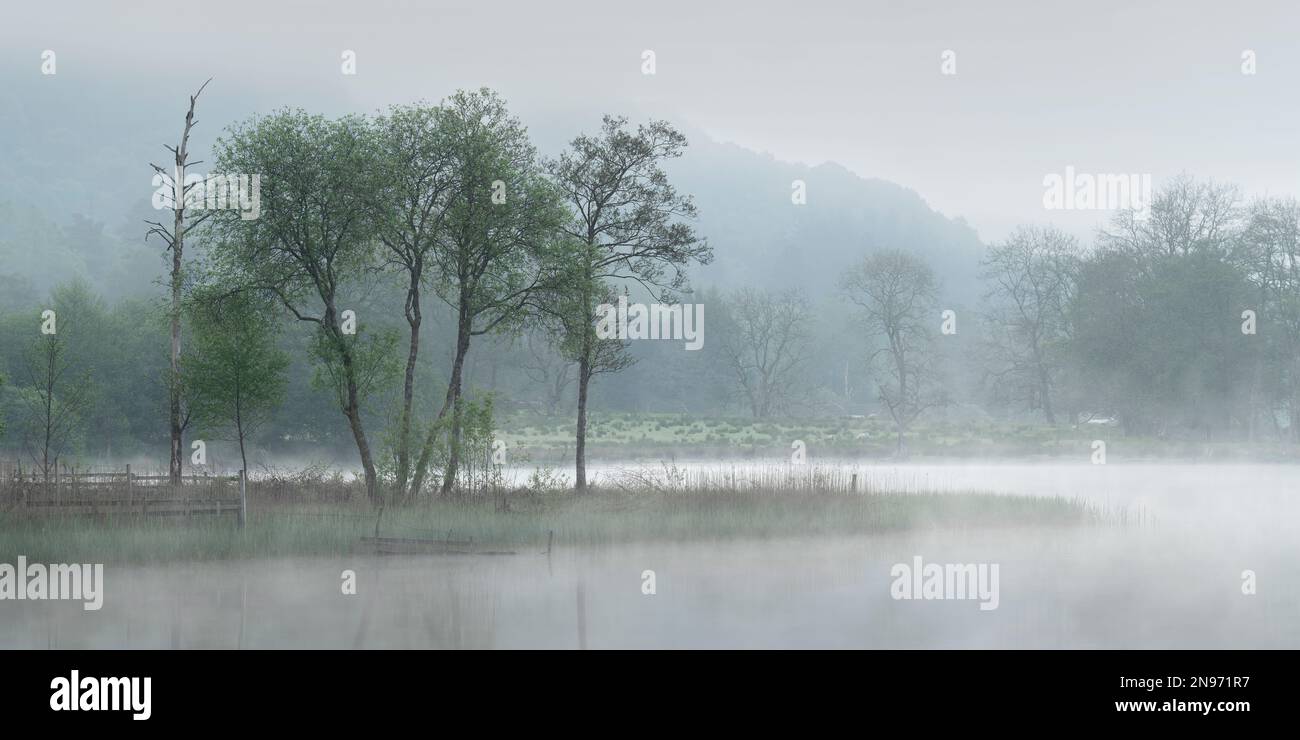 Foggy treescape hi-res stock photography and images - Alamy