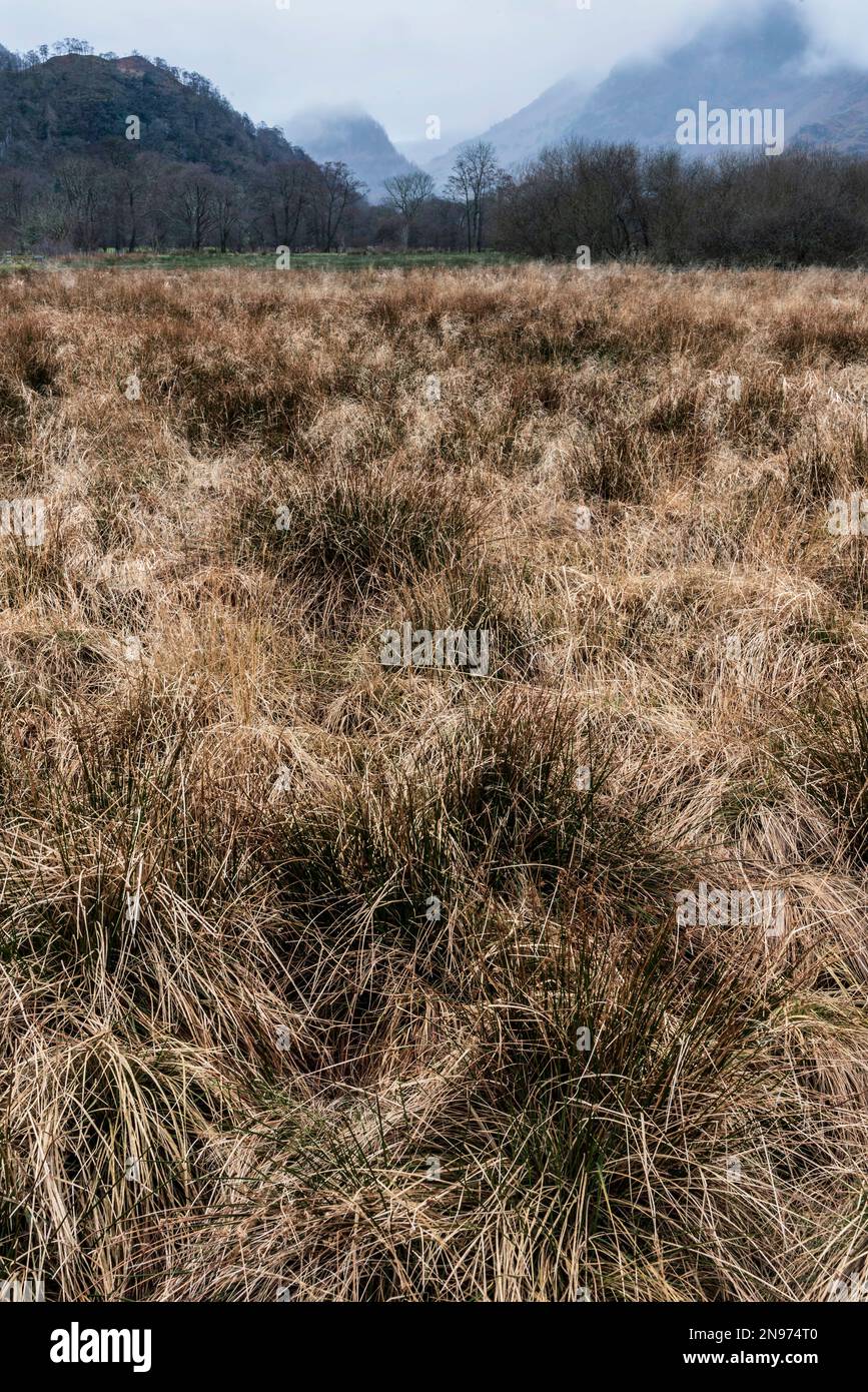 Manesty hi-res stock photography and images - Alamy