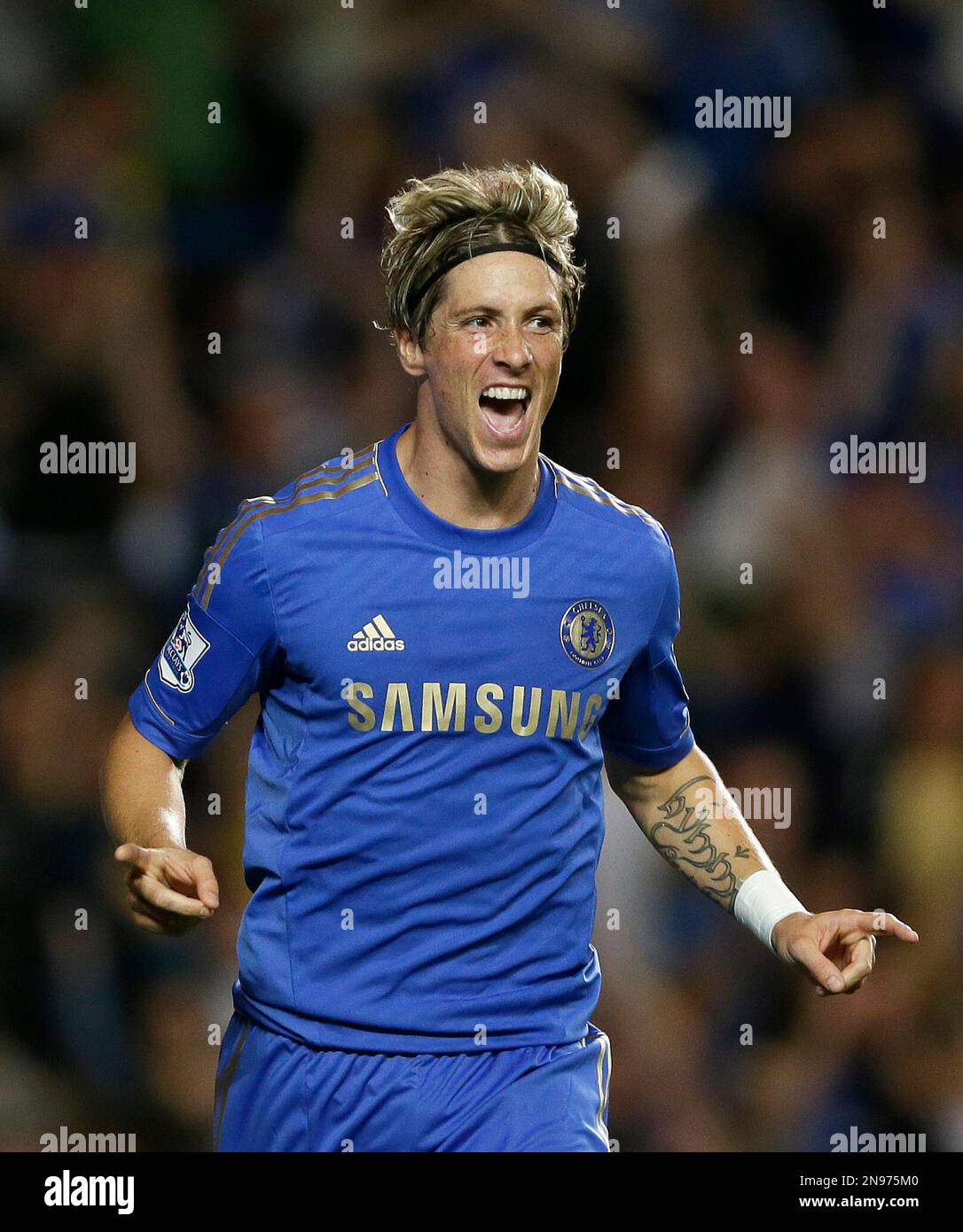 Chelsea's Fernando Torres celebrates scoring a goal during the English ...