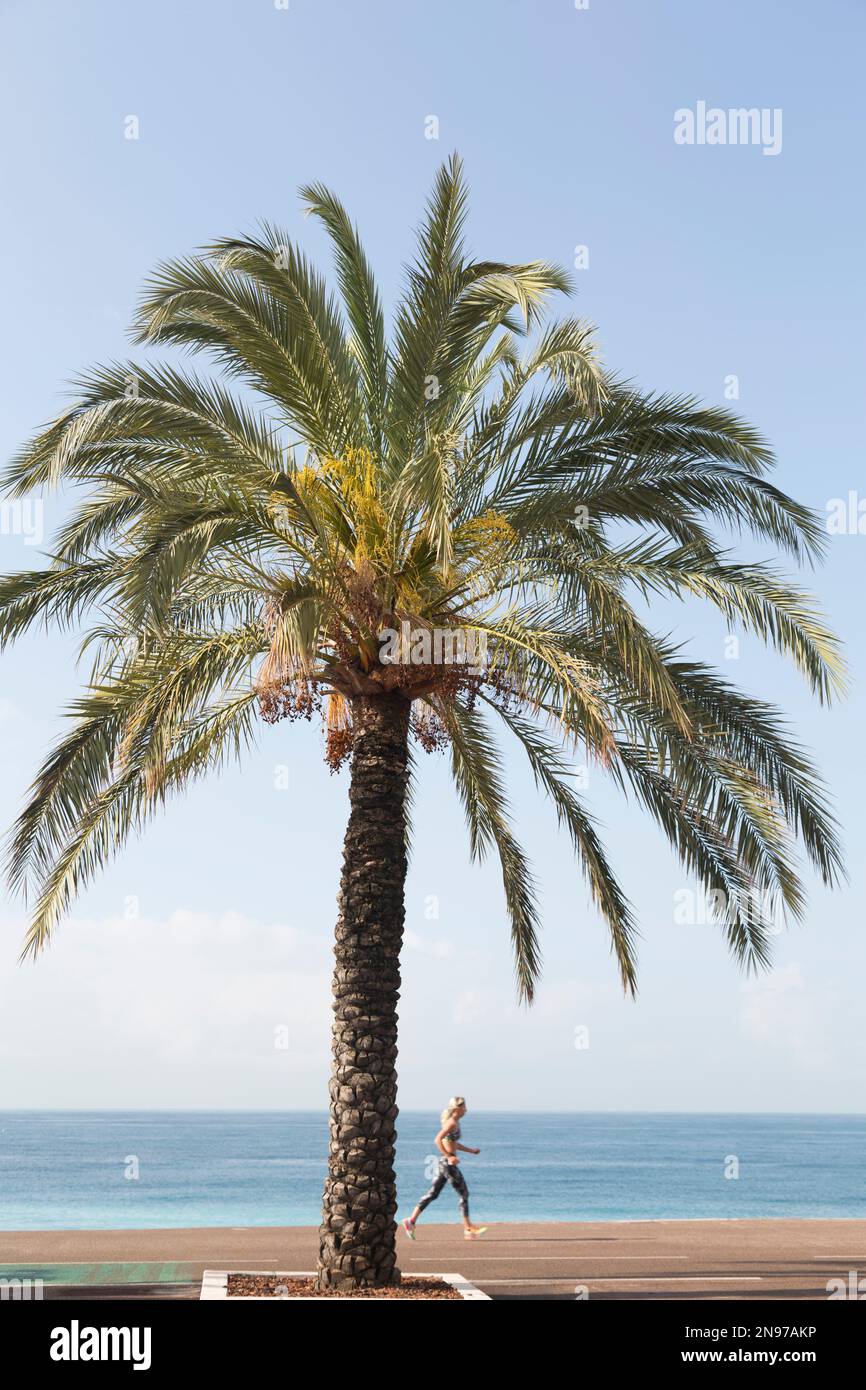 France, Nice, jogging along aisle des Anglaise Stock Photo - Alamy