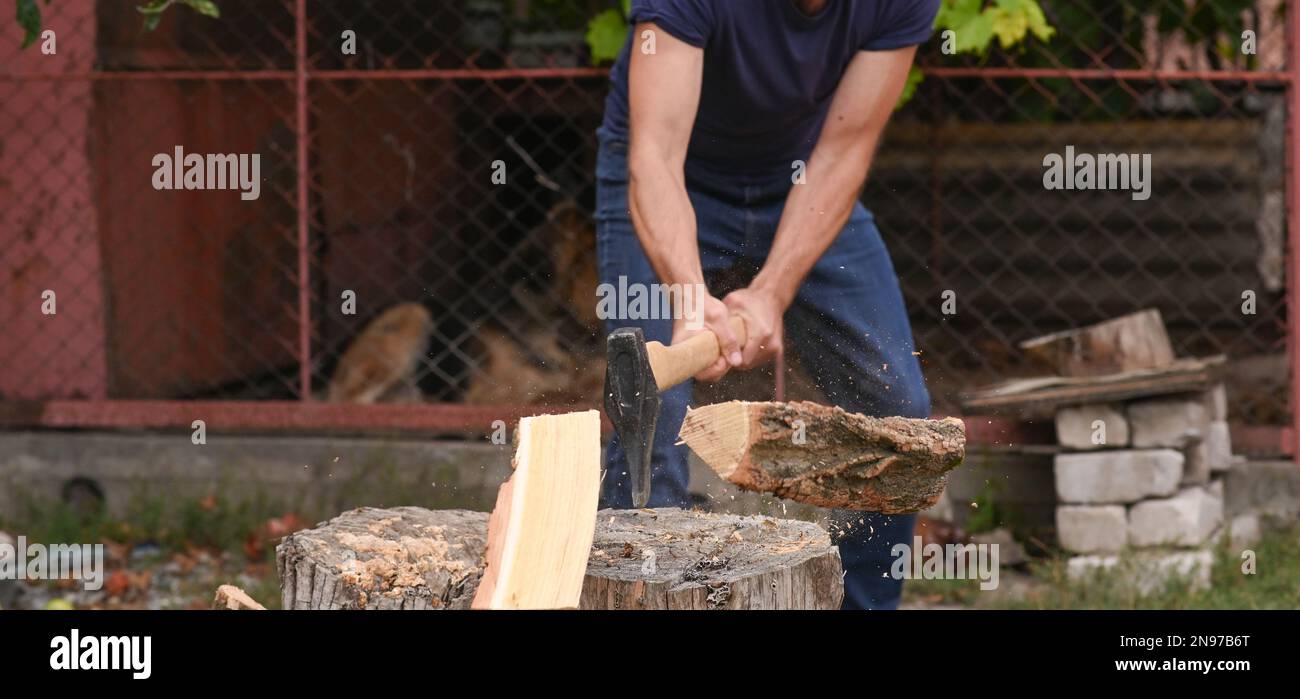 the logger's heavy axe cut the log into pieces. Parts of the log flew ...