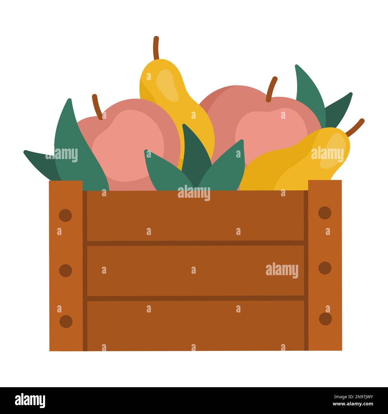 Vector cute wooden box with apples, pears, flowers and leaves. Autumn ...