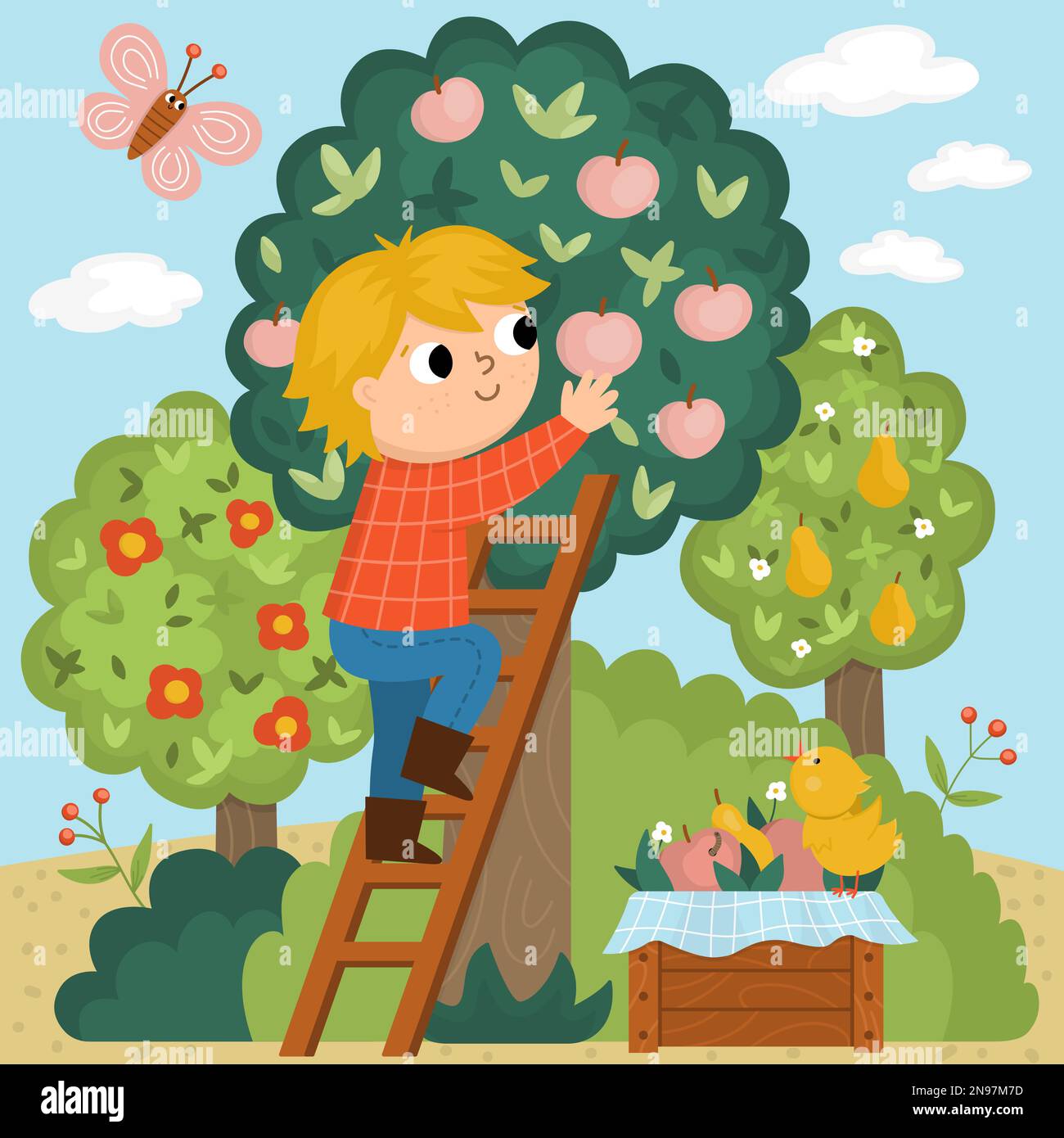 Vector scene with farmer gathering apples from the tree. Cute kid doing ...