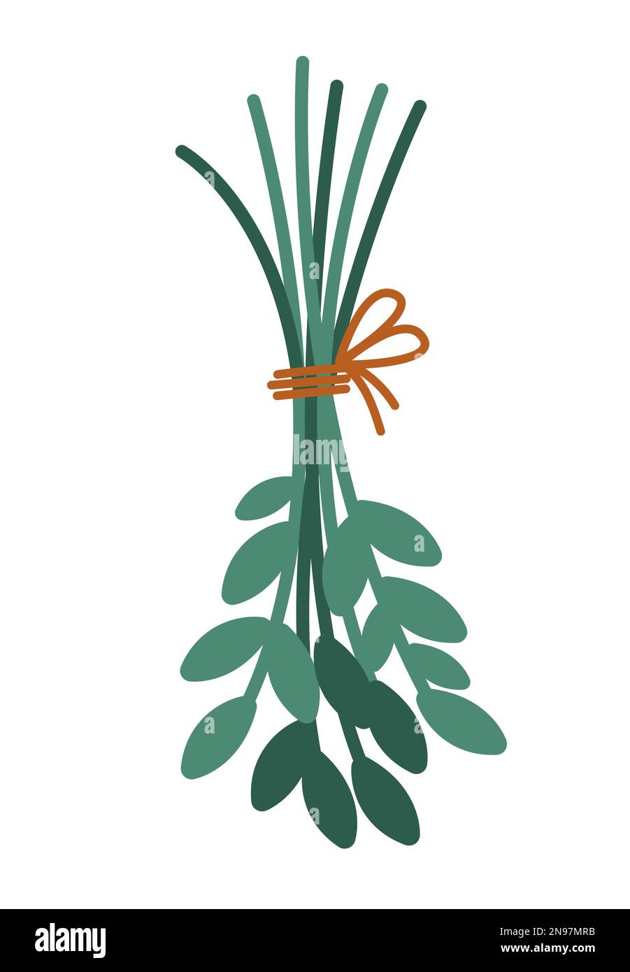 Vector cute leaves bouquet. Flat style crop bunch tied with rope. Funny ...