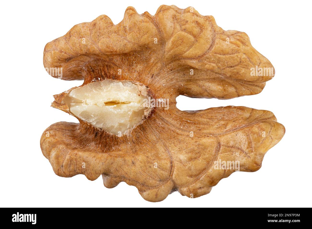Walnut kernel isolated on white background. File contains clipping path ...