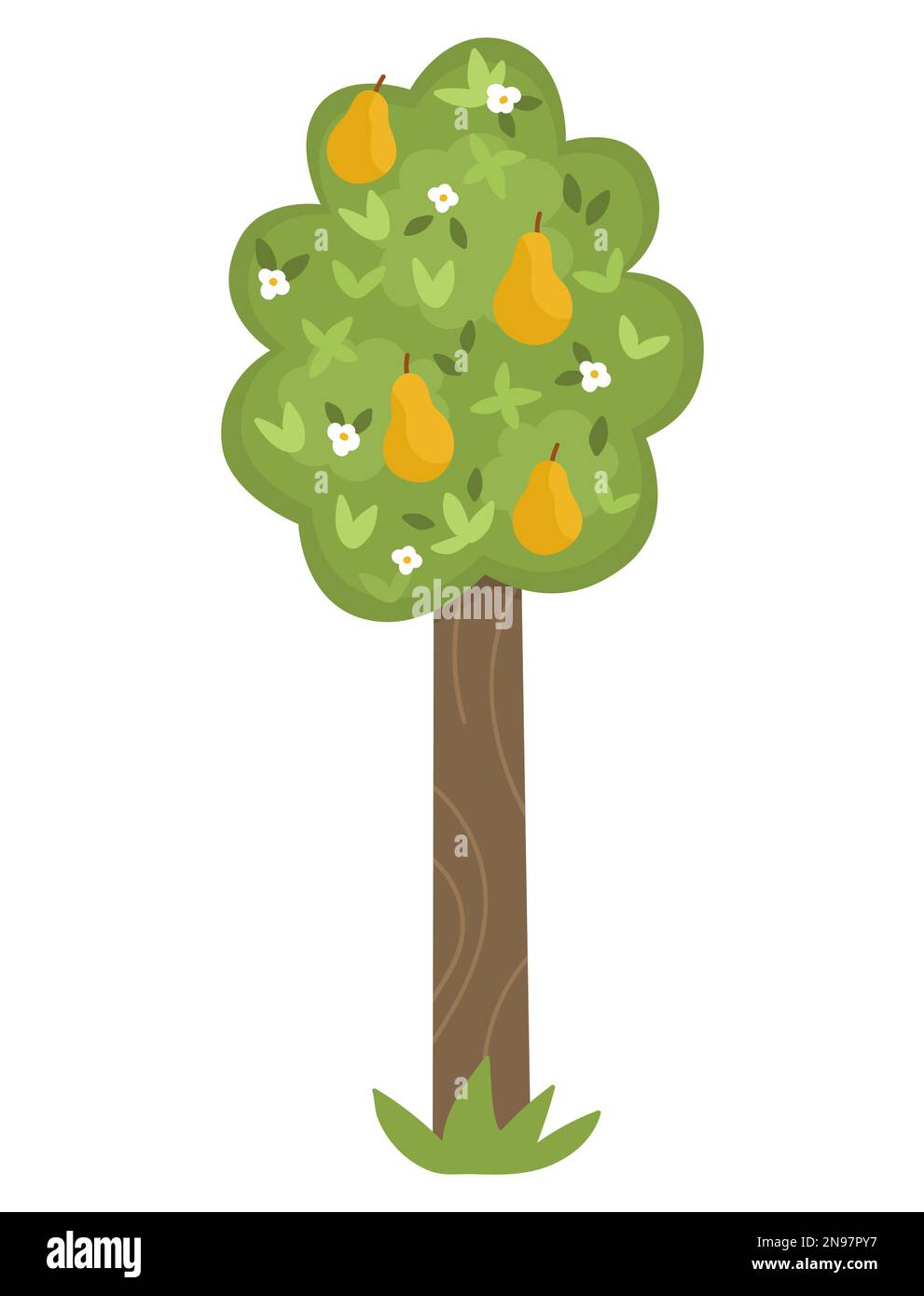 Vector pear tree icon isolated on white background. Garden or forest ...