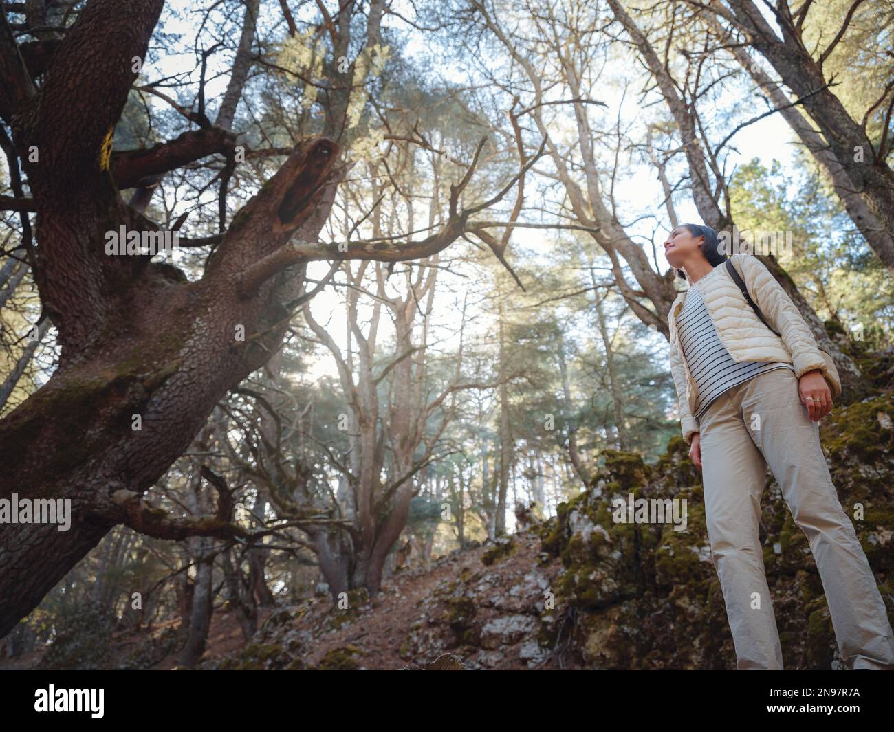 asian woman enjoys being in nature, beautiful forest in mountains ...