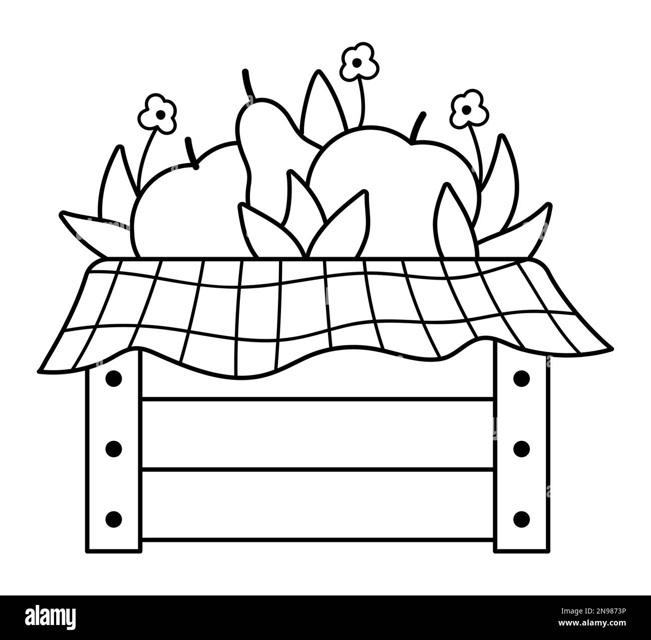 Vector black and white wooden box with apples, pears, flowers, leaves ...