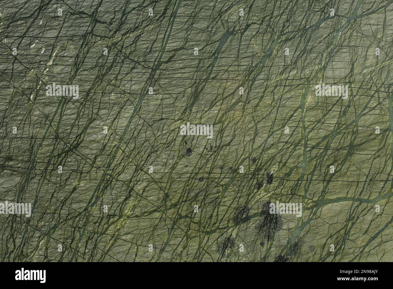 Breccia verde hi-res stock photography and images - Alamy