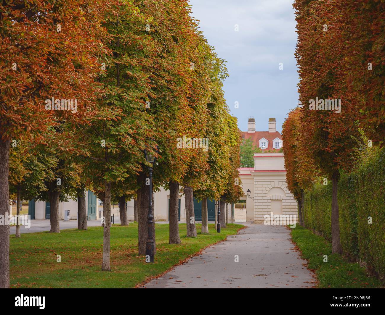 Augarten park in Vienna. alley of plane trees . Summer Travel to ...