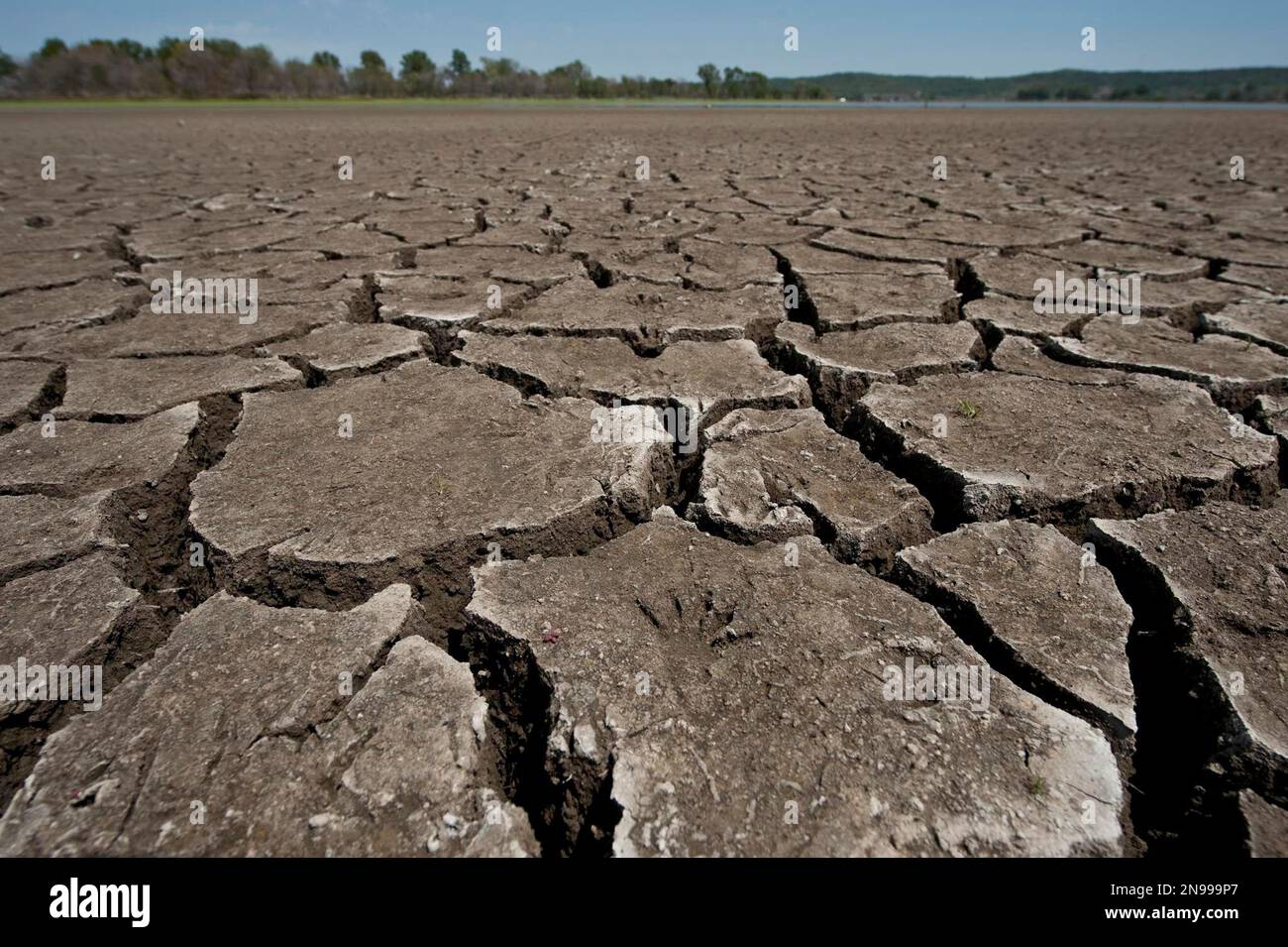 BEAN LAKE, MO- AUGUST 7: Bean Lake in the Missouri River flood plain ...
