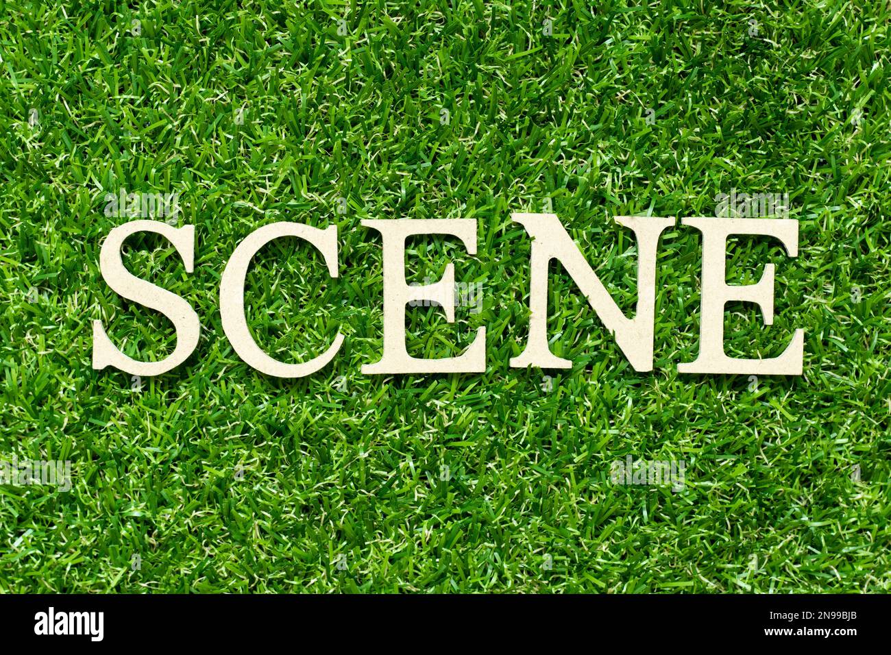 Wood letter in word scene on green grass background Stock Photo - Alamy