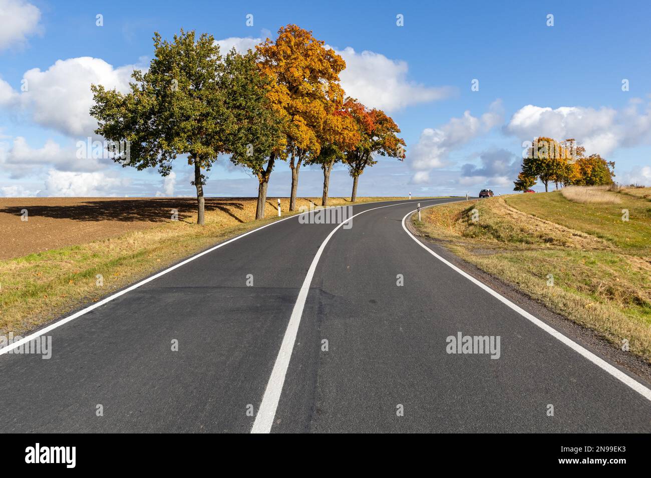 Coloured deciduous trees along the country road Stock Photo - Alamy