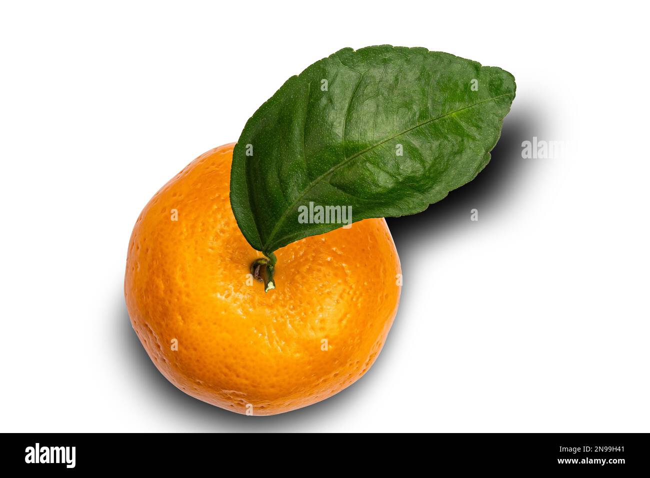Top view of single mandarin orange (Citrus reticulata) or with leaf on ...