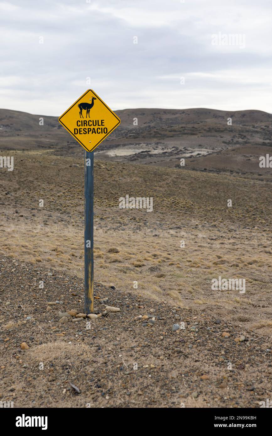 Yellow sign with a guanaco and "drive slowly" written on it in the ...