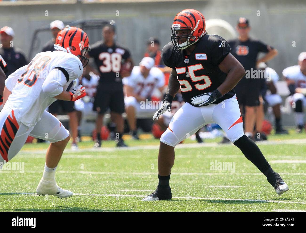 Cincinnati Bengals linebacker Vontaze Burflict (55) in action during ...