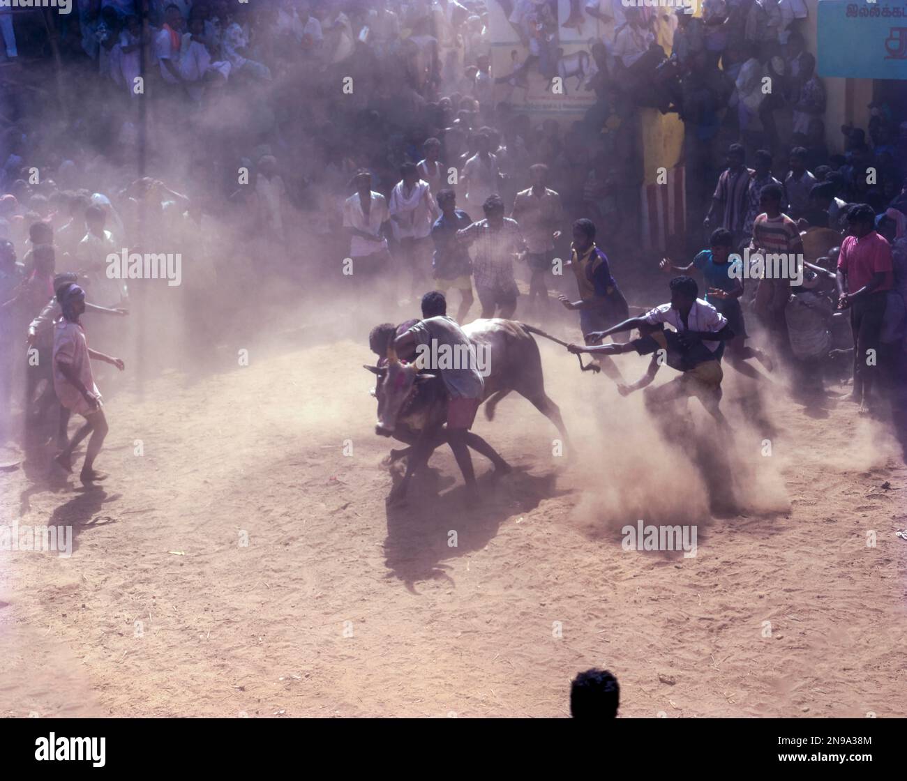 Taming tribe hi-res stock photography and images - Alamy