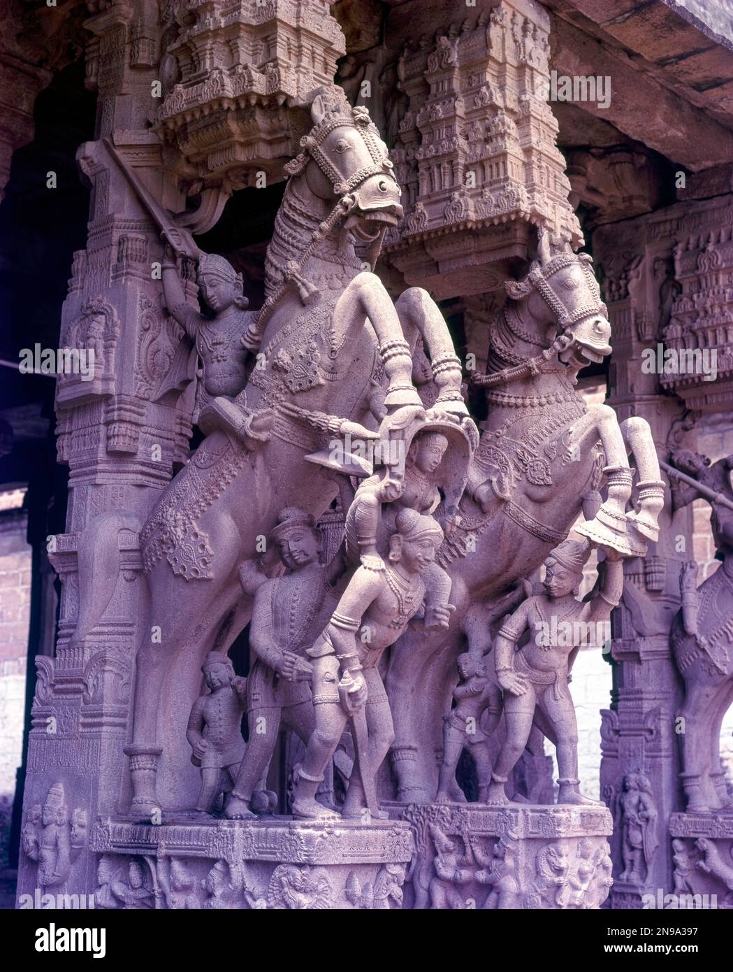 The horse pillar in Srirangam Ranganatha temple, Vishnu with its ...