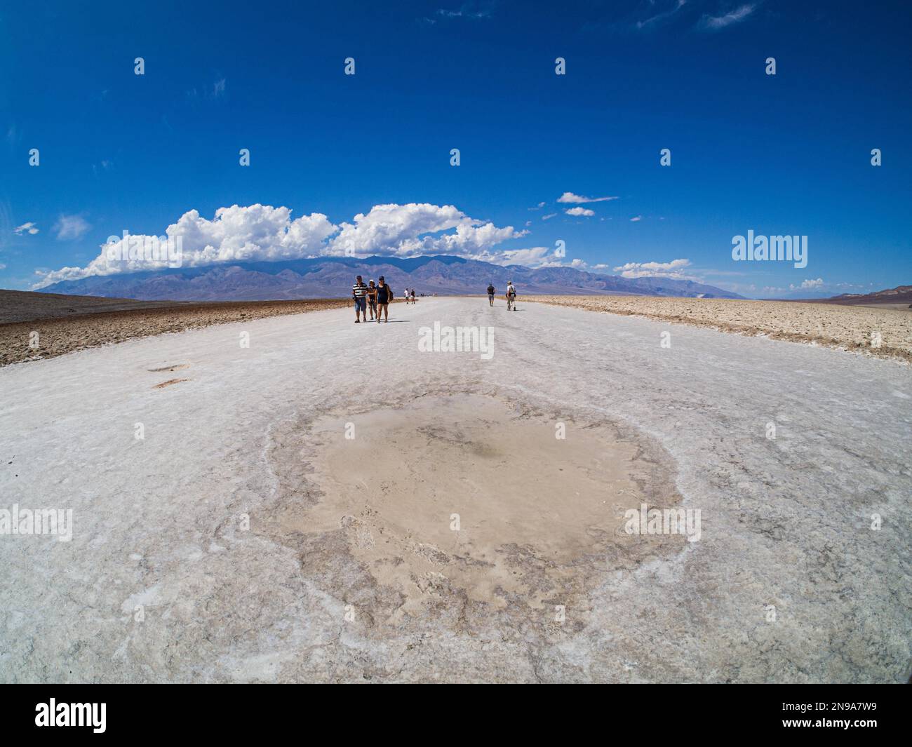 Salt crust in Badwater Basin, salt flats in Death Valley, lowest point ...