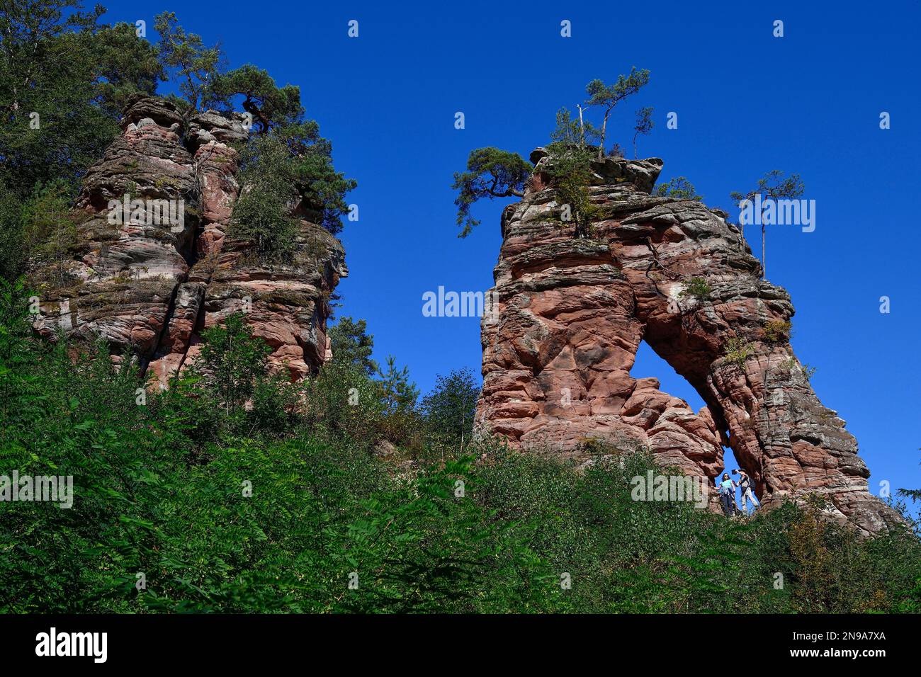 Hiker at the Schillerfelsen, red sandstone rocks on the Dahner ...