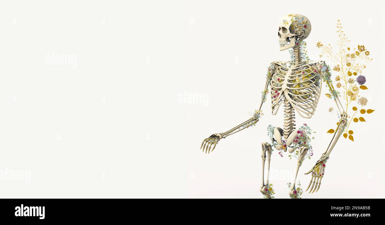 Growing human organs hi-res stock photography and images - Alamy