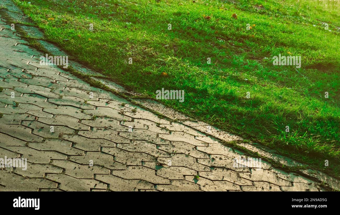 Summer morning warm sun reflect footpath garden paving stones landscape ...