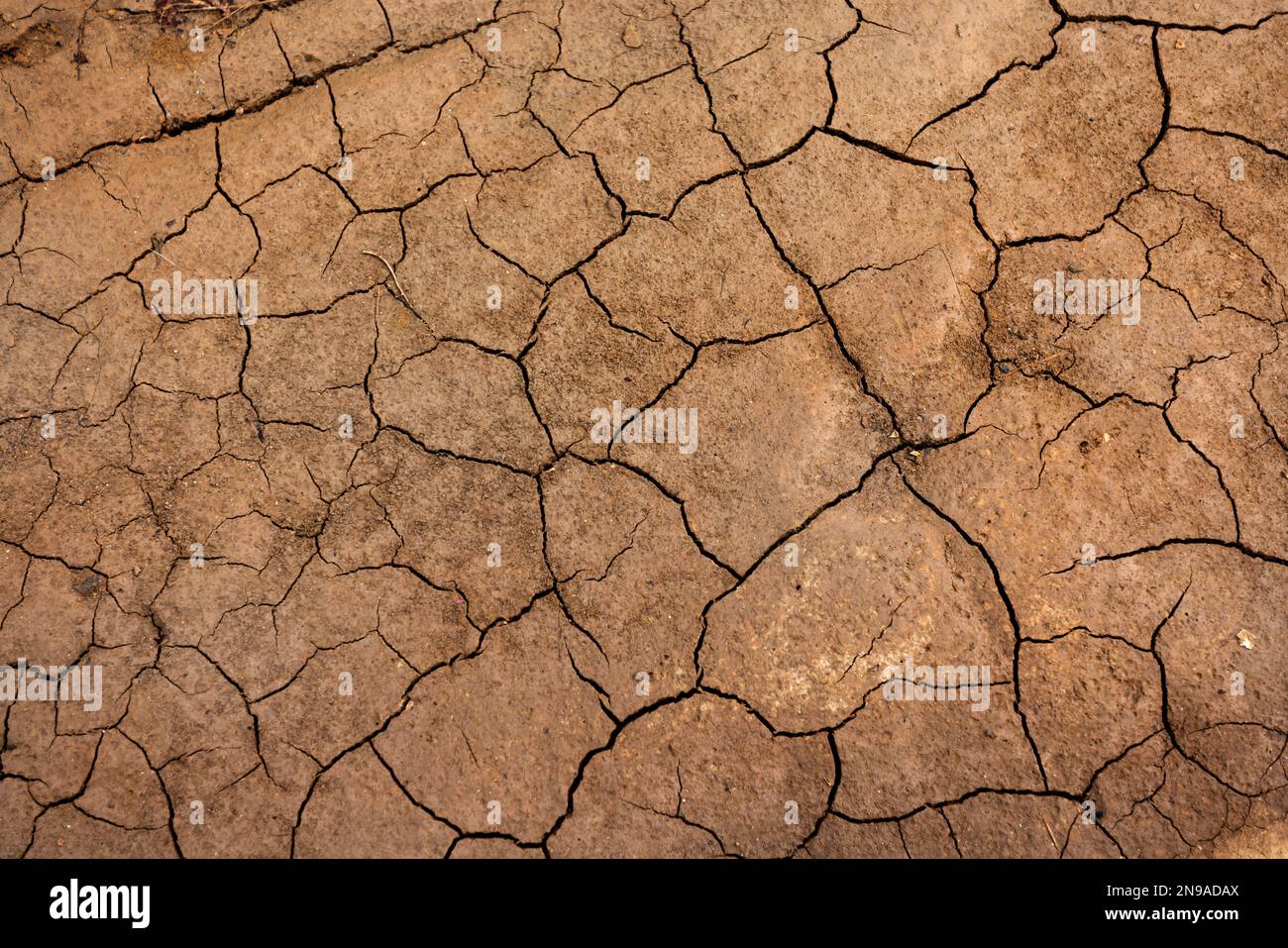 The texture of cracked dry land. Global water scarcity on planet ...
