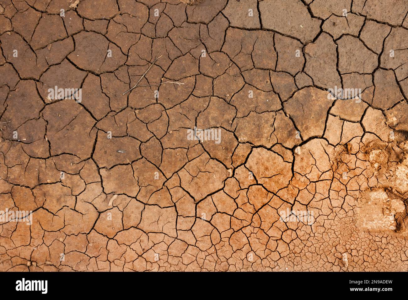 The texture of cracked dry land. Global water scarcity on planet ...