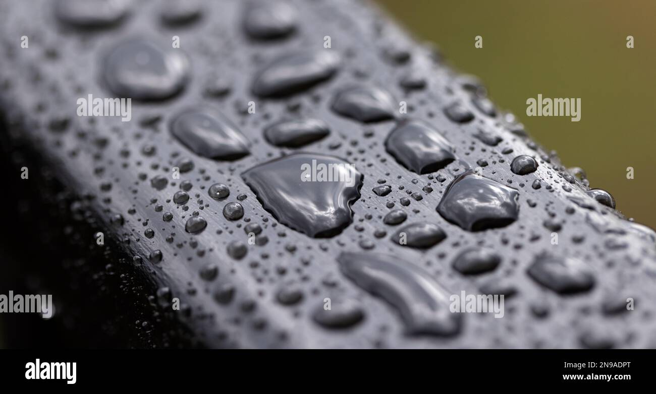 drops of water on dark water-repellent surface close-up as background ...