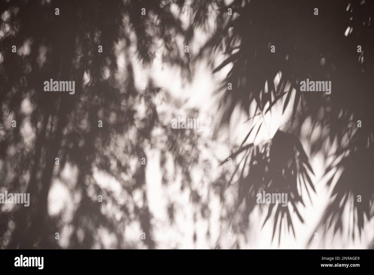 Natural shadow overlay on grey colored grunge wall concrete texture ...