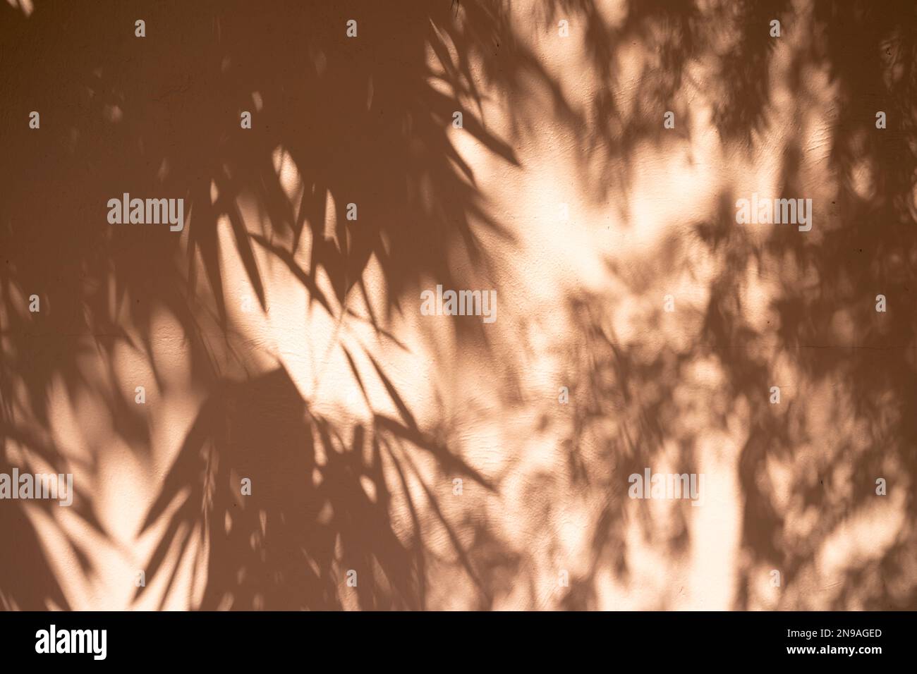 Natural shadow overlay on orange colored grunge wall concrete texture ...