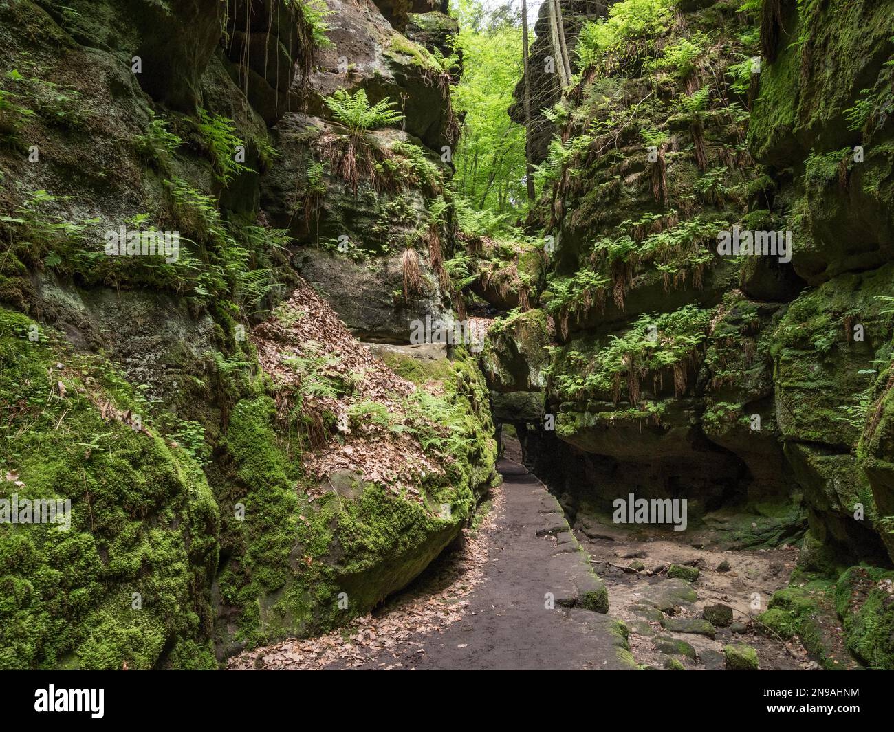The rock gate in the Uttewalder Grund.a sandstone gorge in Saxon ...